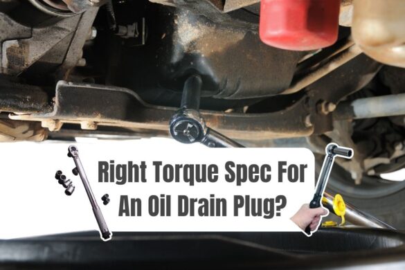 Understanding Motor Oil: Shelf Life, Identification, and Disposal